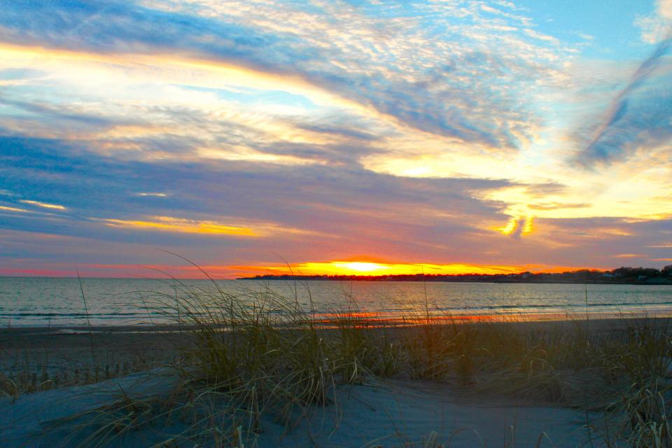 Pure Nature | Shutterbug